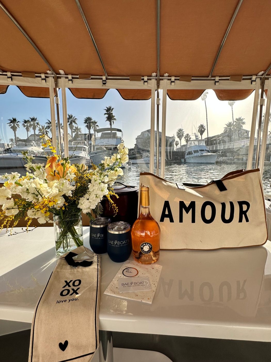 Electric Boat Rentals in Sausalito, CA| Bae Bots