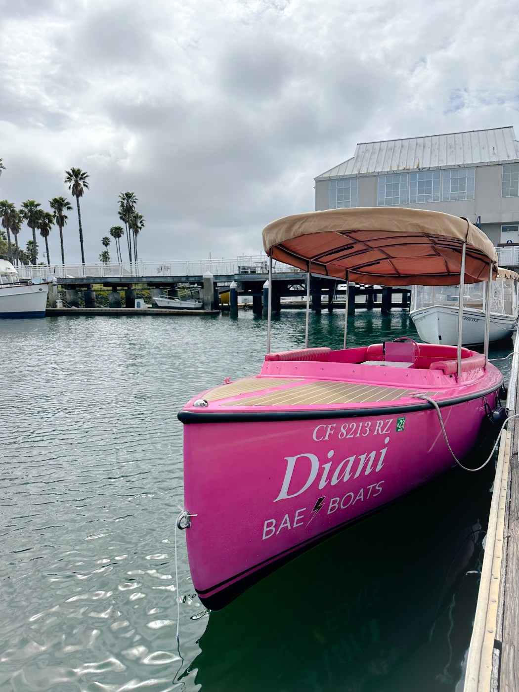 Pink Fantail Electric Boat | Bae Boats